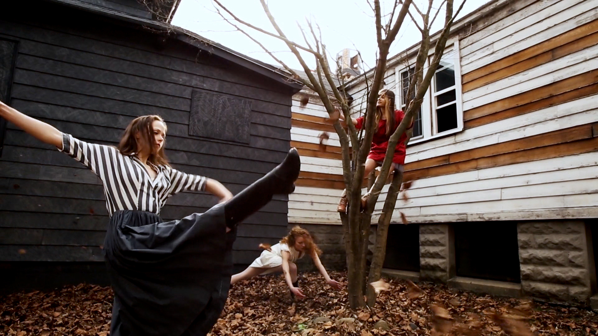 An Organization Positively Impacting Our Artistic Communities - The Balancing Act